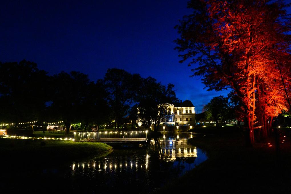 TIFF Transilvania International Film Festival