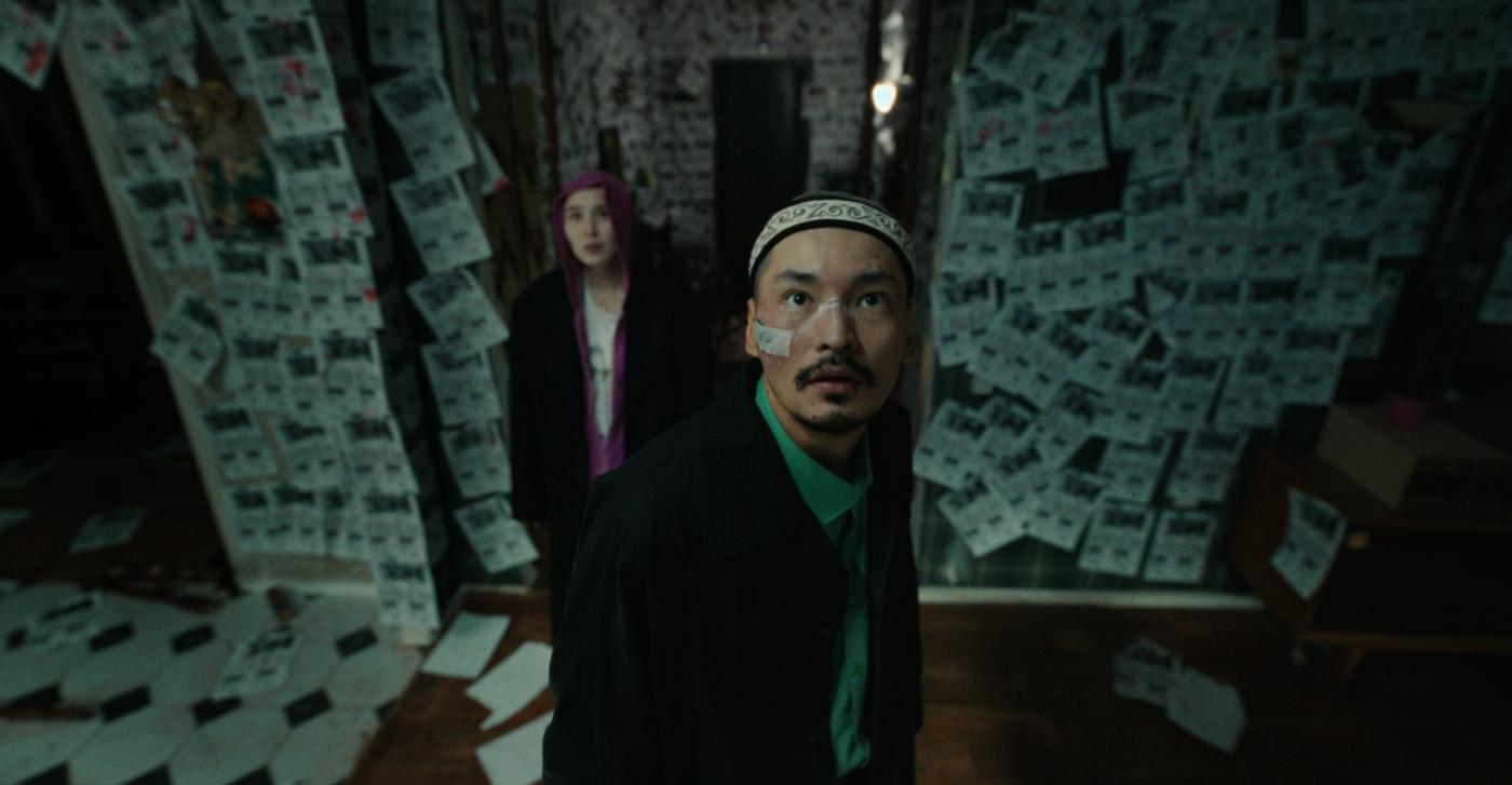 Transilvania IFF 2026: Official Competition and What’s Up, Doc? line ...