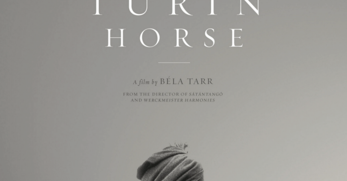 Calul din Torino | TIFF